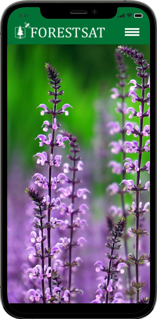 ForestSAT Mobile App Development – Forest Awareness